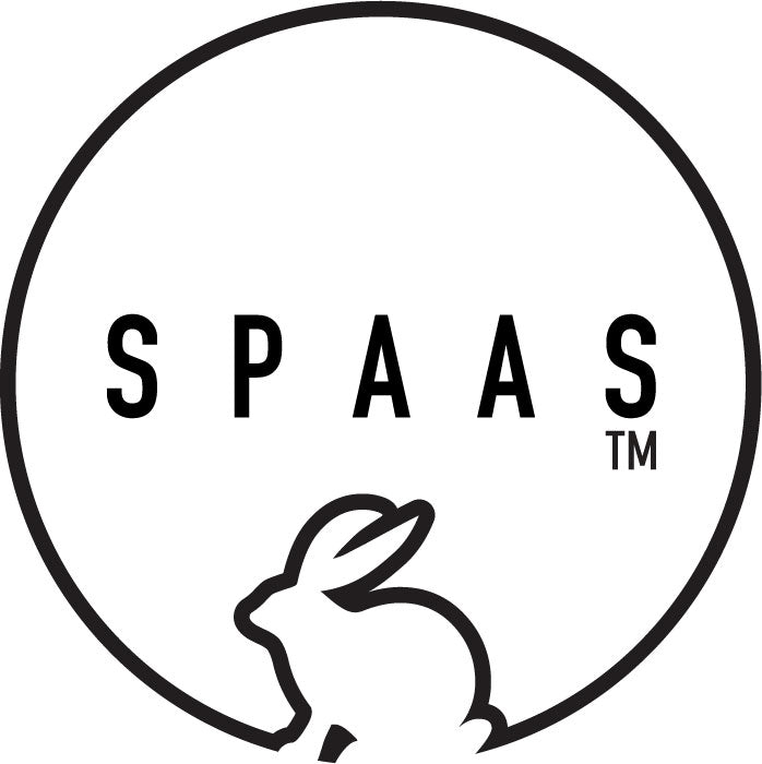 Desk Accessories – Spaas